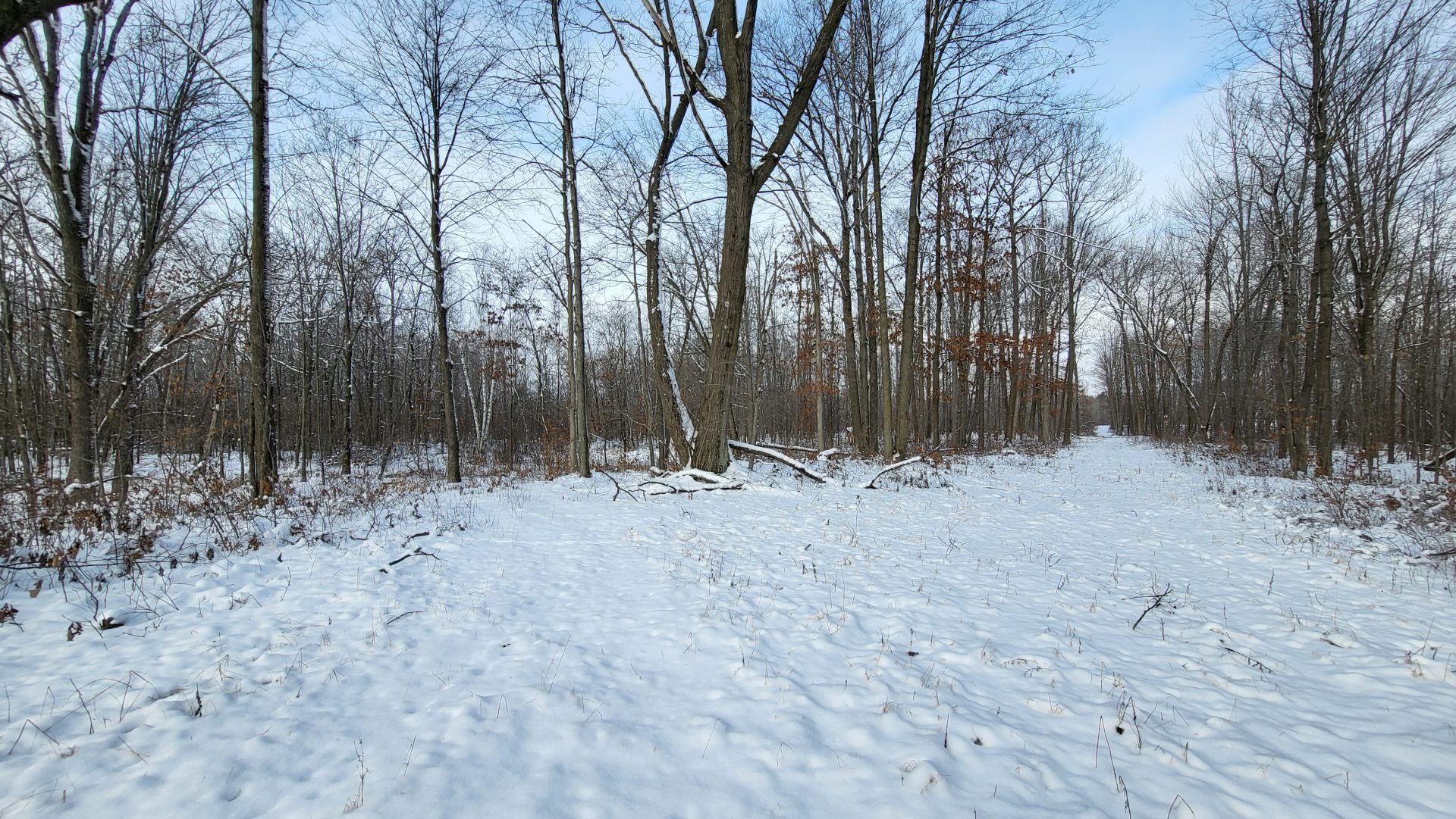 Shawano County 156 acres, A true legacy property for the ultimate ...